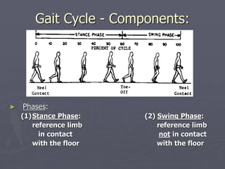 KINEMATICS OF LOCOMOTION.PPT | Foot Health | Diseases and Conditions