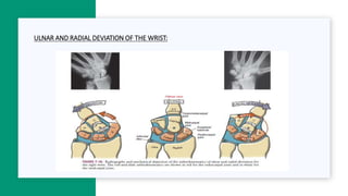 Kinematics of wrist | PPTX