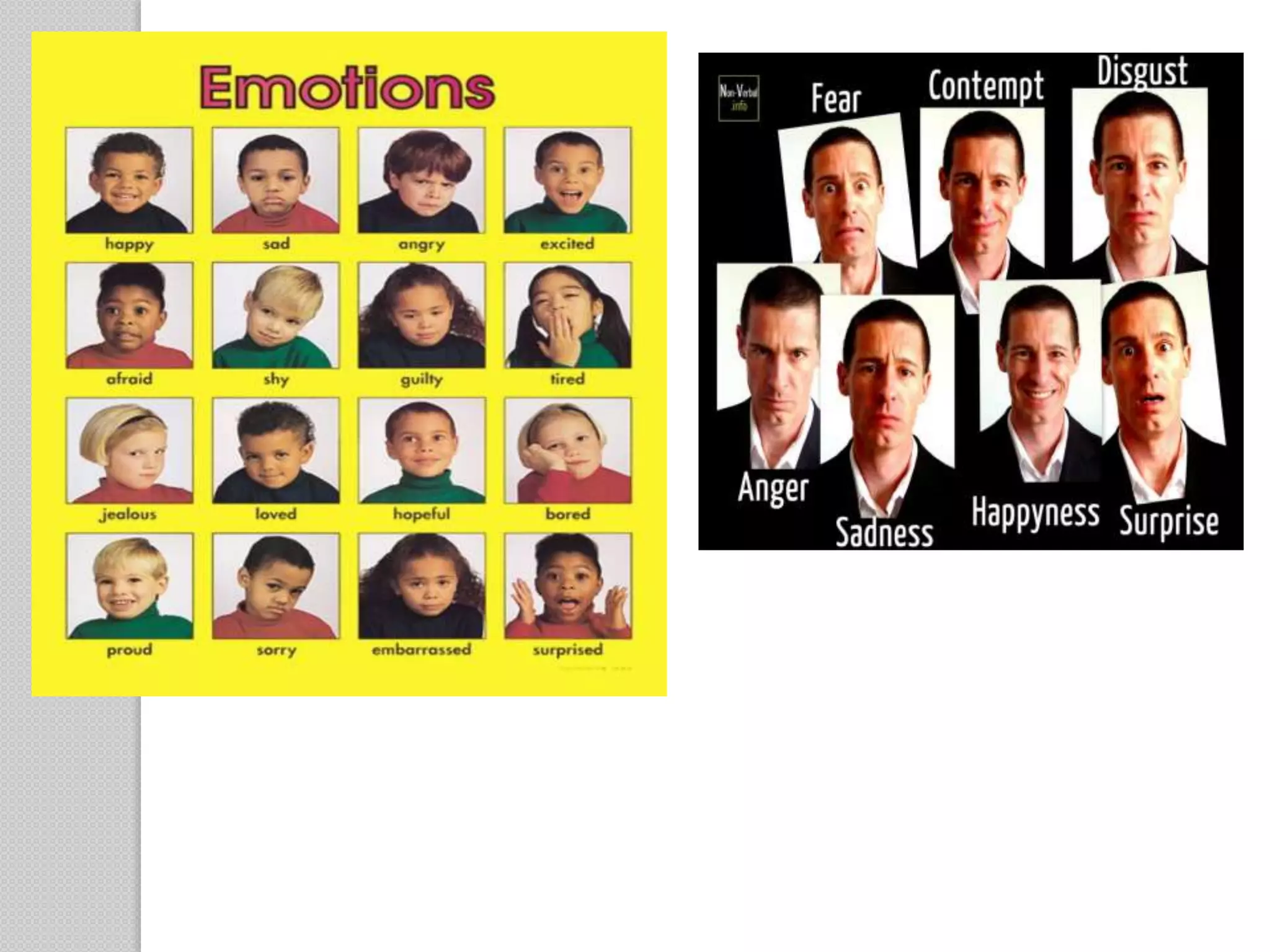 Kinesics (Communication Skills) | PPTX