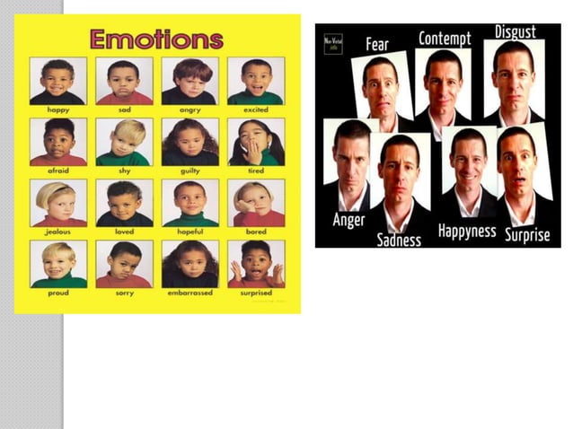 Kinesics (Communication Skills) | PPTX | Eye and Vision Conditions ...