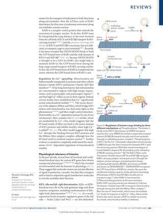 Kinesin | PDF