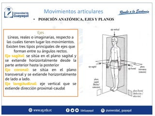 KINESIOLOGIA INTRODUCCION | PPTX