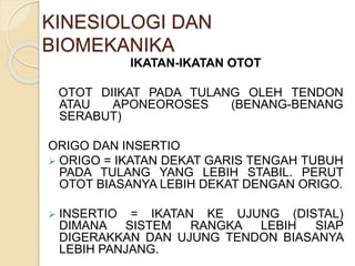 Kinesiologi dan biomekanika | PPTX