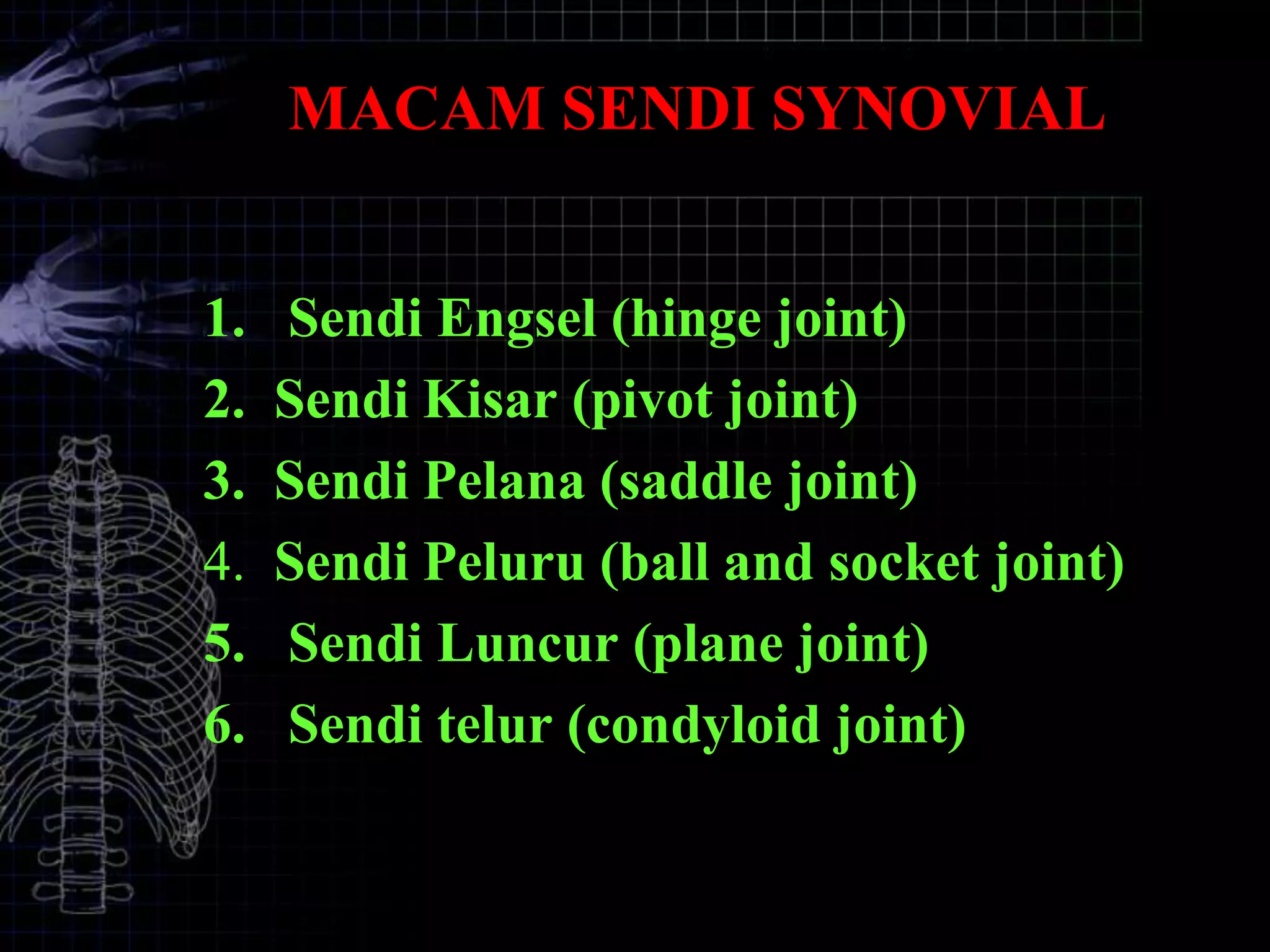 KINESIOLOGI des 2019.pdf