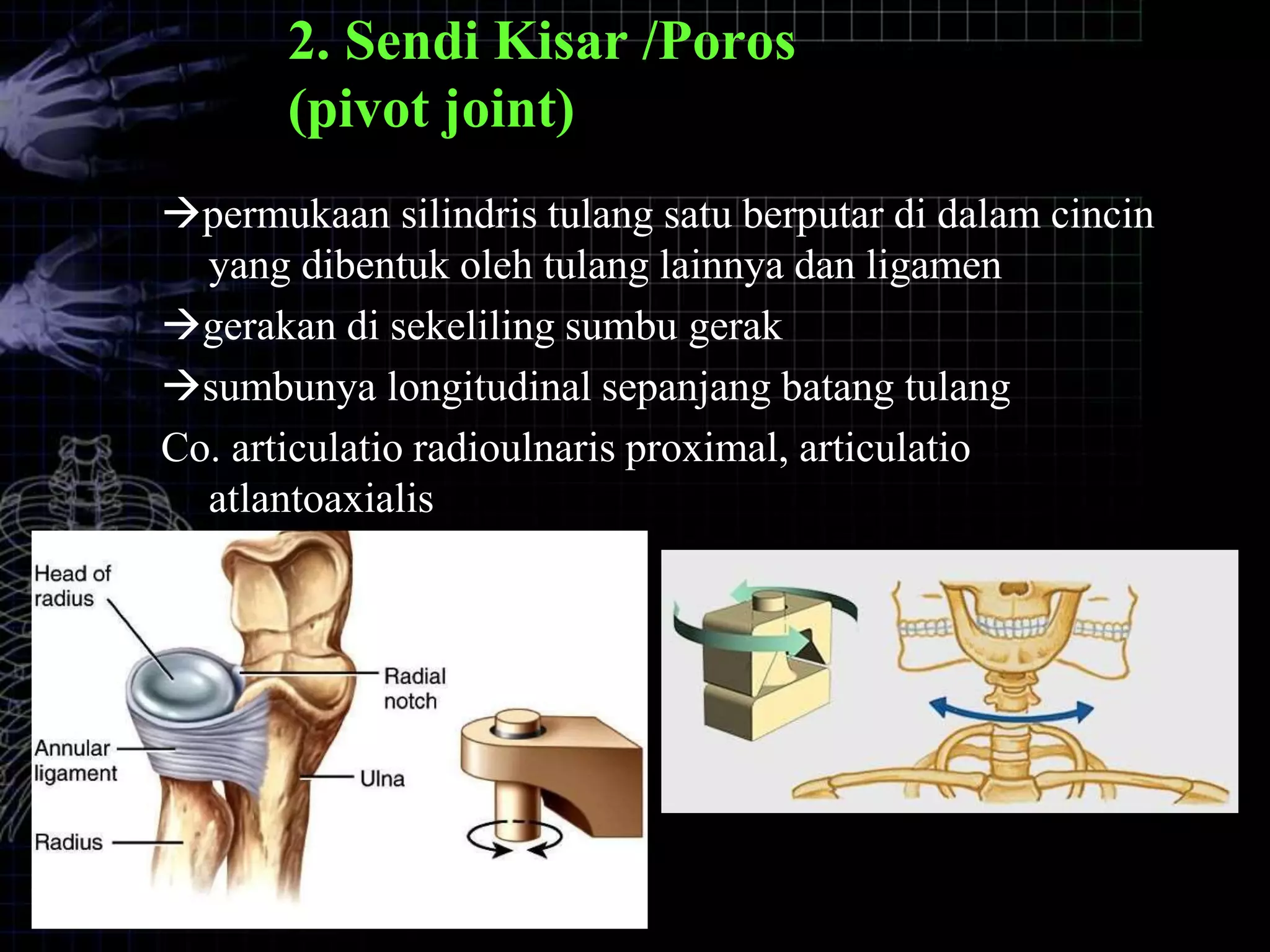 KINESIOLOGI des 2019.pdf