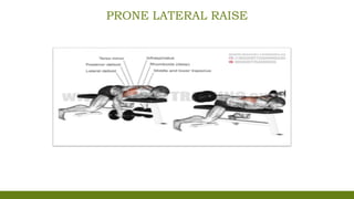Kinesiology and biomechanics | PPTX