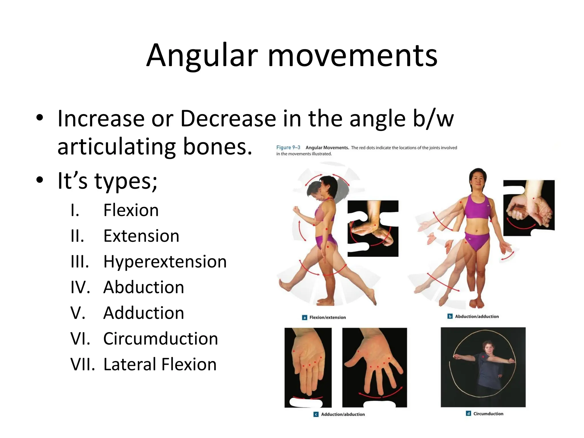knowledge about kinesiology and biomechanics.pdf