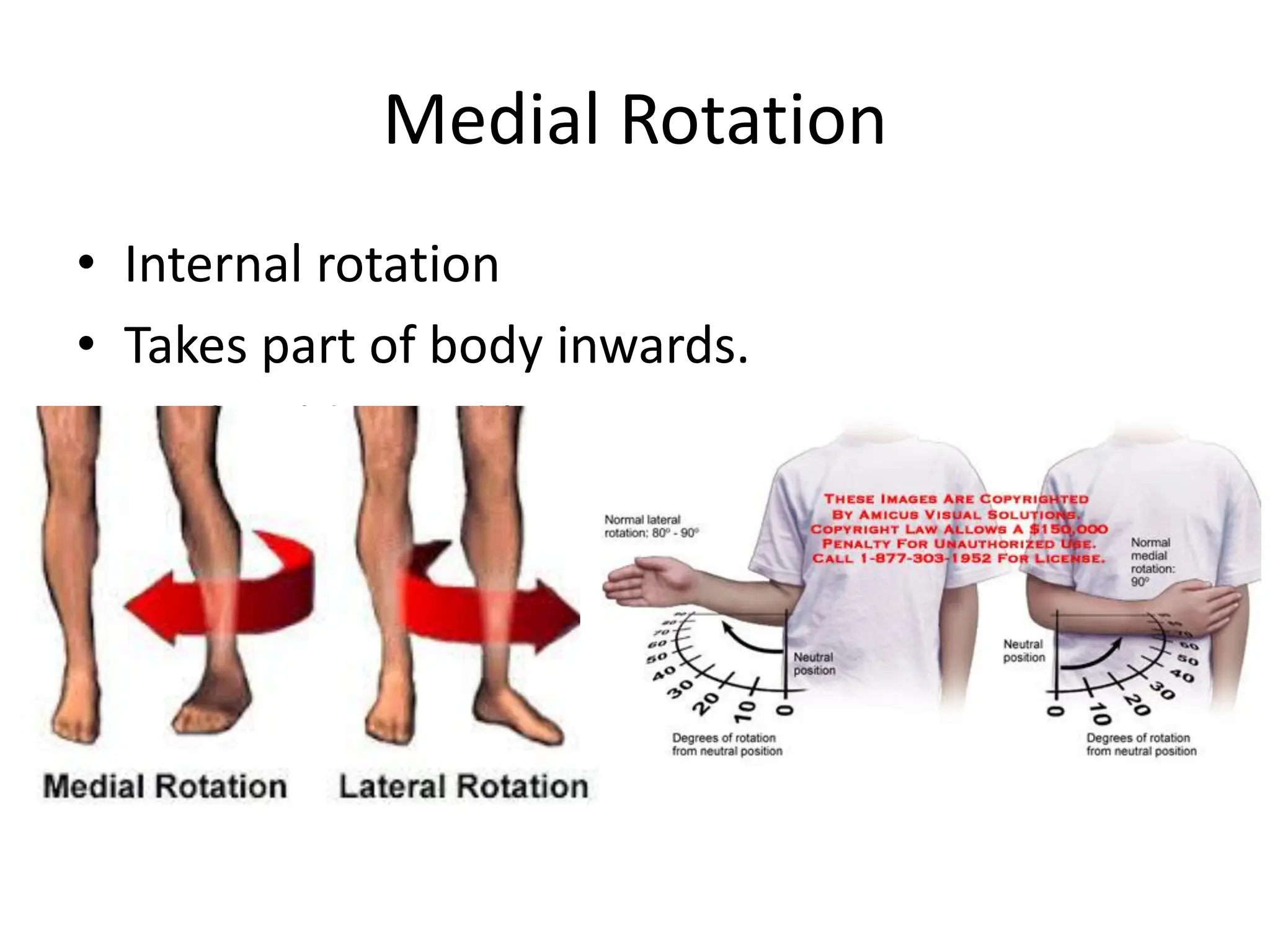 knowledge about kinesiology and biomechanics.pdf