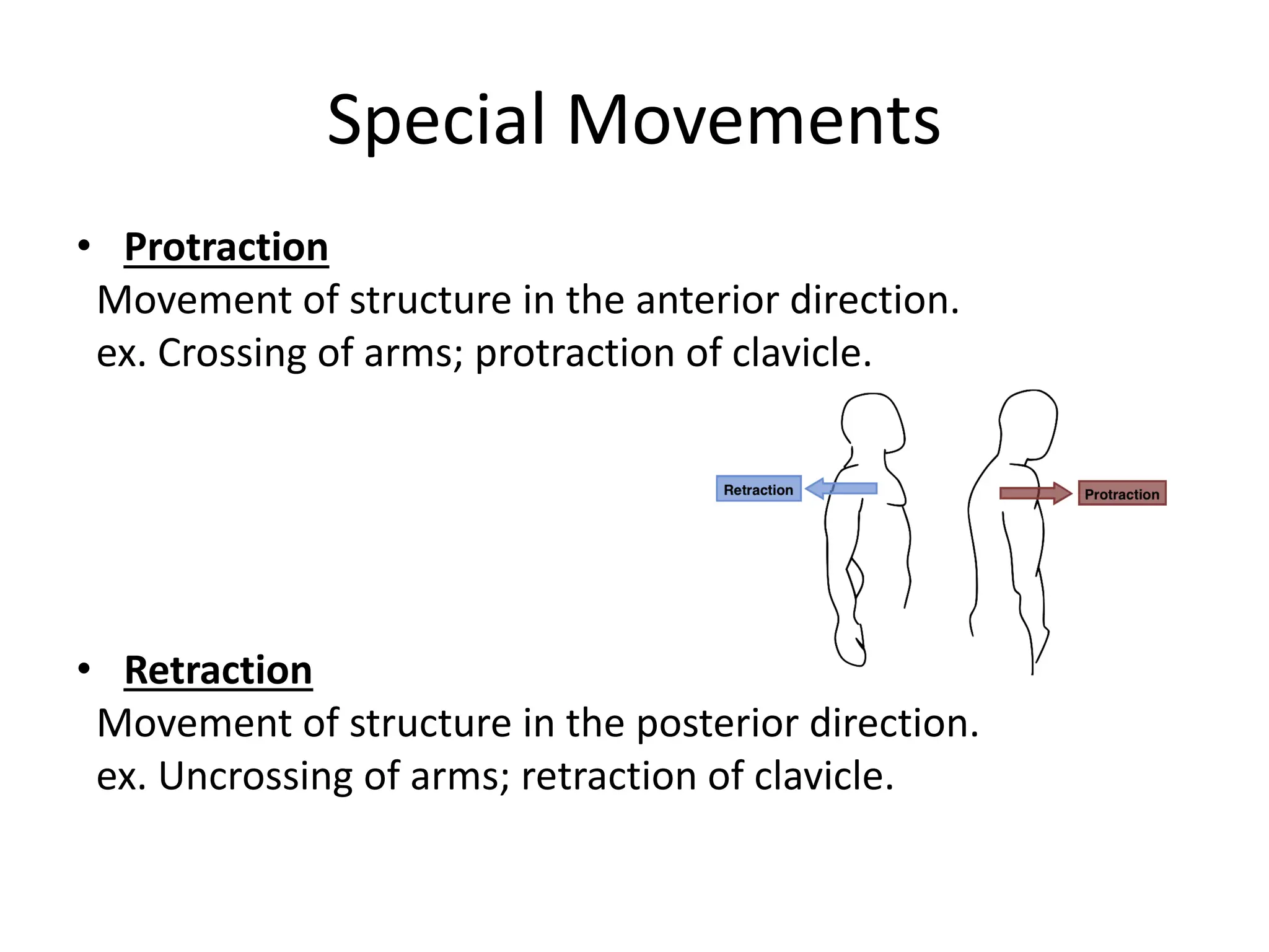 knowledge about kinesiology and biomechanics.pdf
