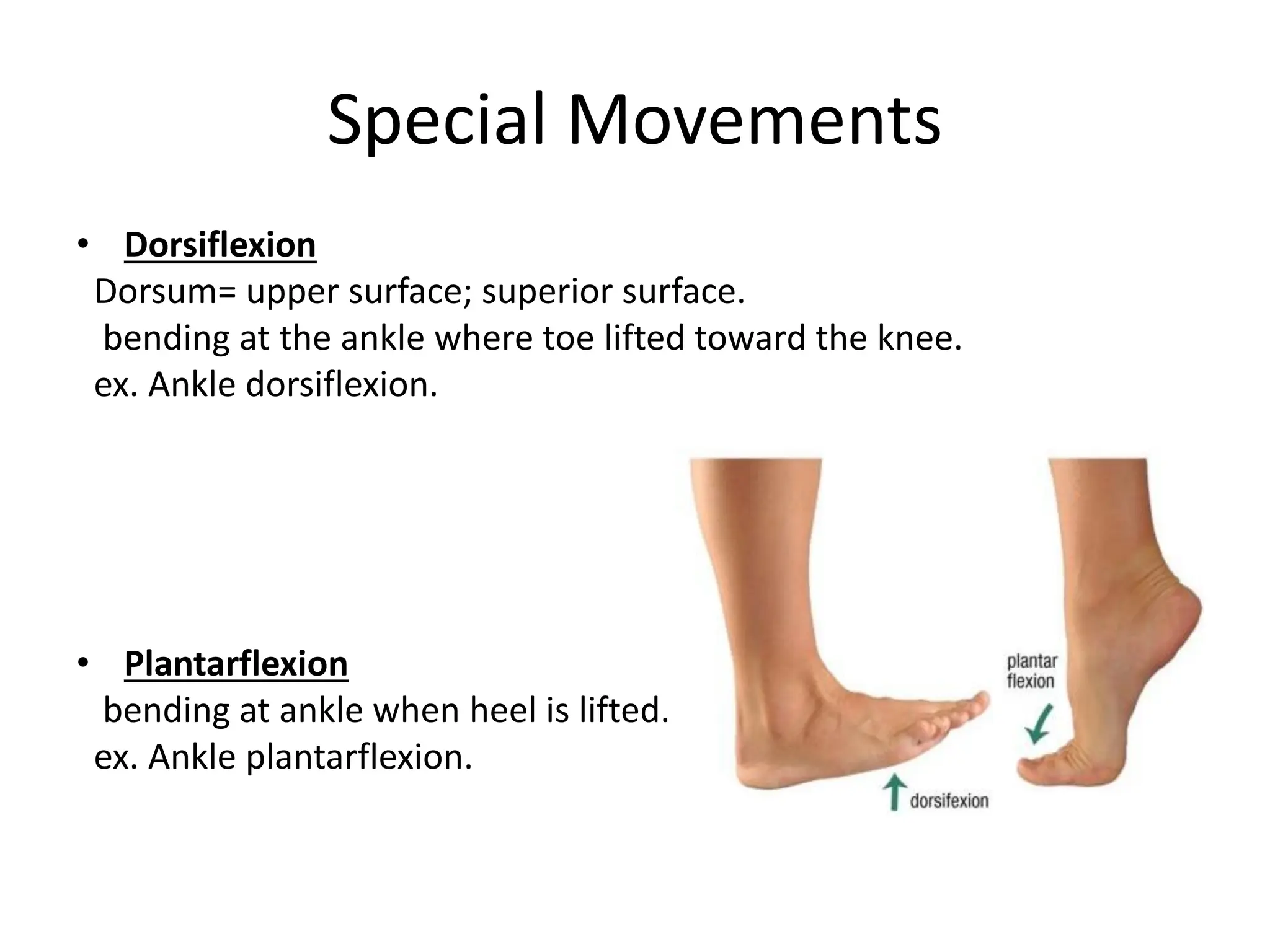 knowledge about kinesiology and biomechanics.pdf