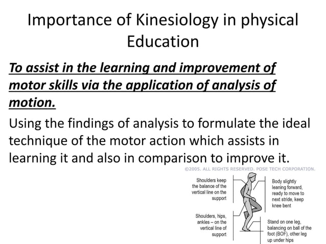 knowledge about kinesiology and biomechanics.pdf | Physical Therapy ...