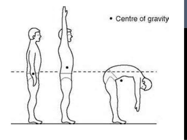 Kinesiology & biomechanics