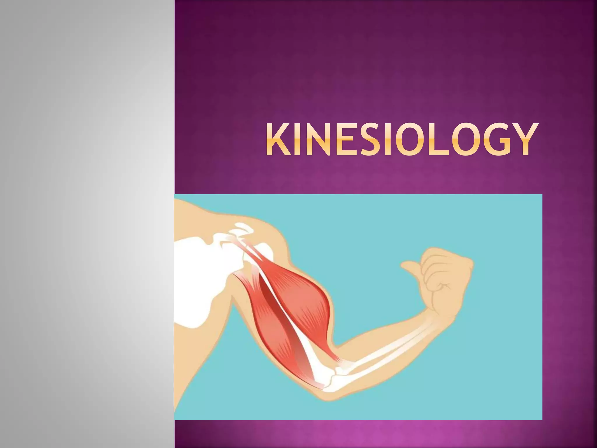 kinesiology | PPT