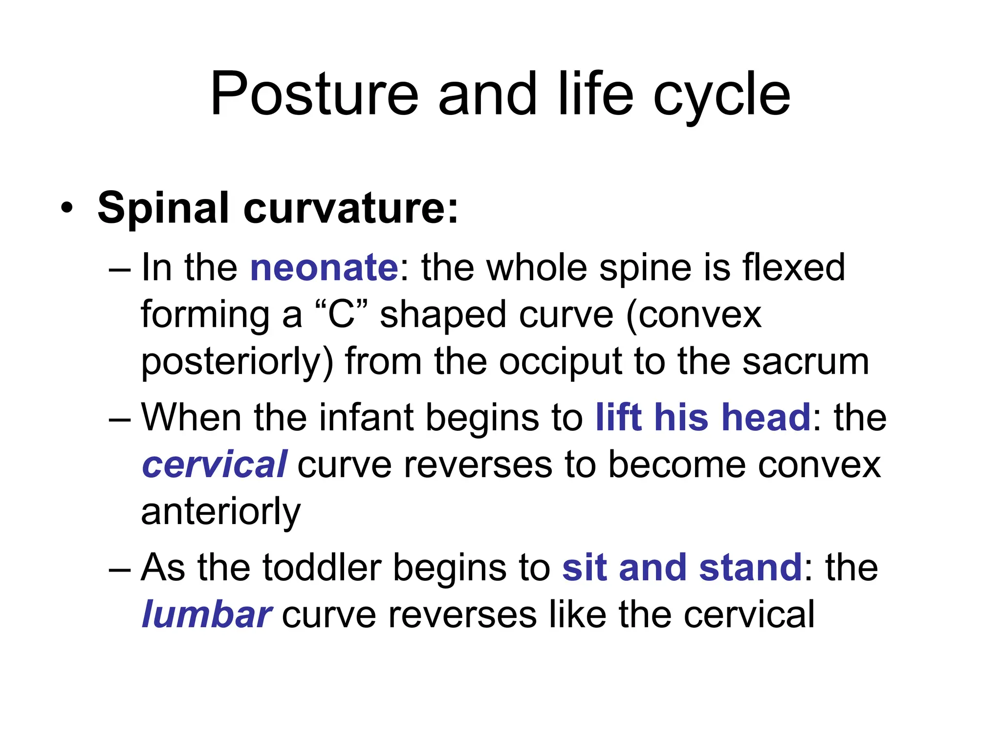 kinesiology_lecture-posture for physical therapy 10.pdf