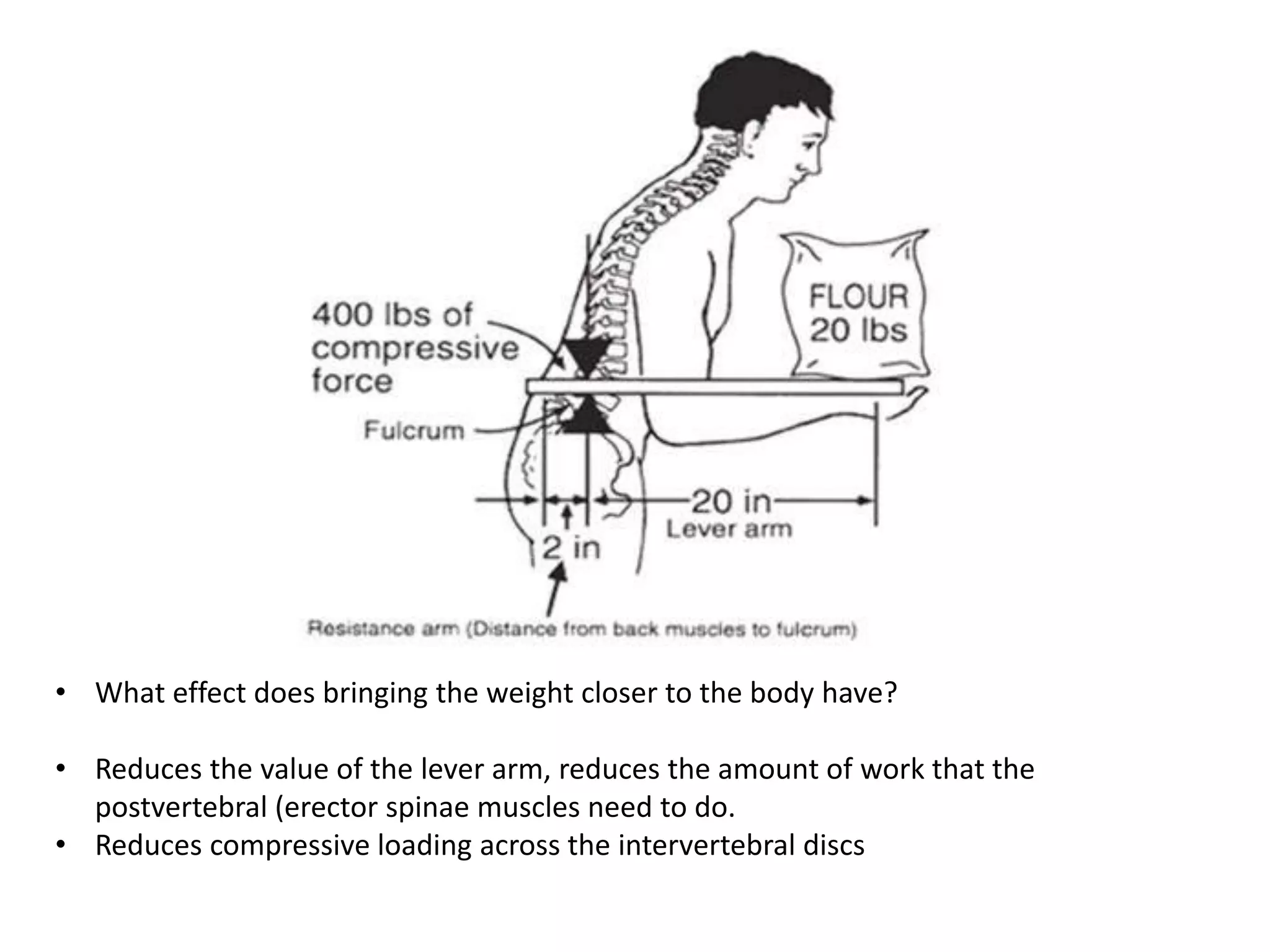 Kinesiology of the back.pptx