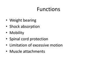 Kinesiology of the back.pptx