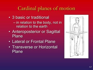 Kinesiology planes of motion copy-1 | PPTX