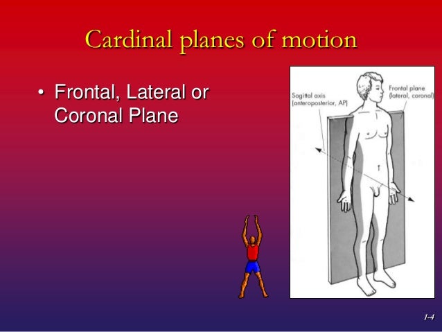 Kinesiology planes of motion copy-1