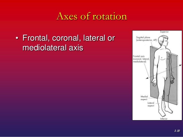 Kinesiology planes of motion copy-1