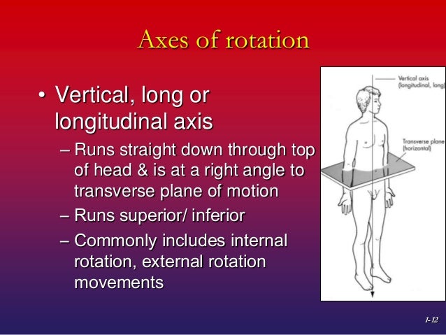 Kinesiology planes of motion copy-1