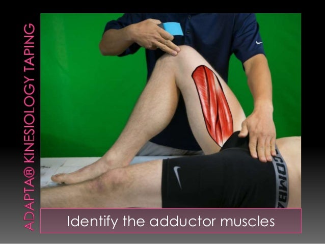 Kinesiology Taping of the Adductor Muscles