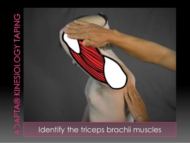 Kinesiology taping triceps_brachii