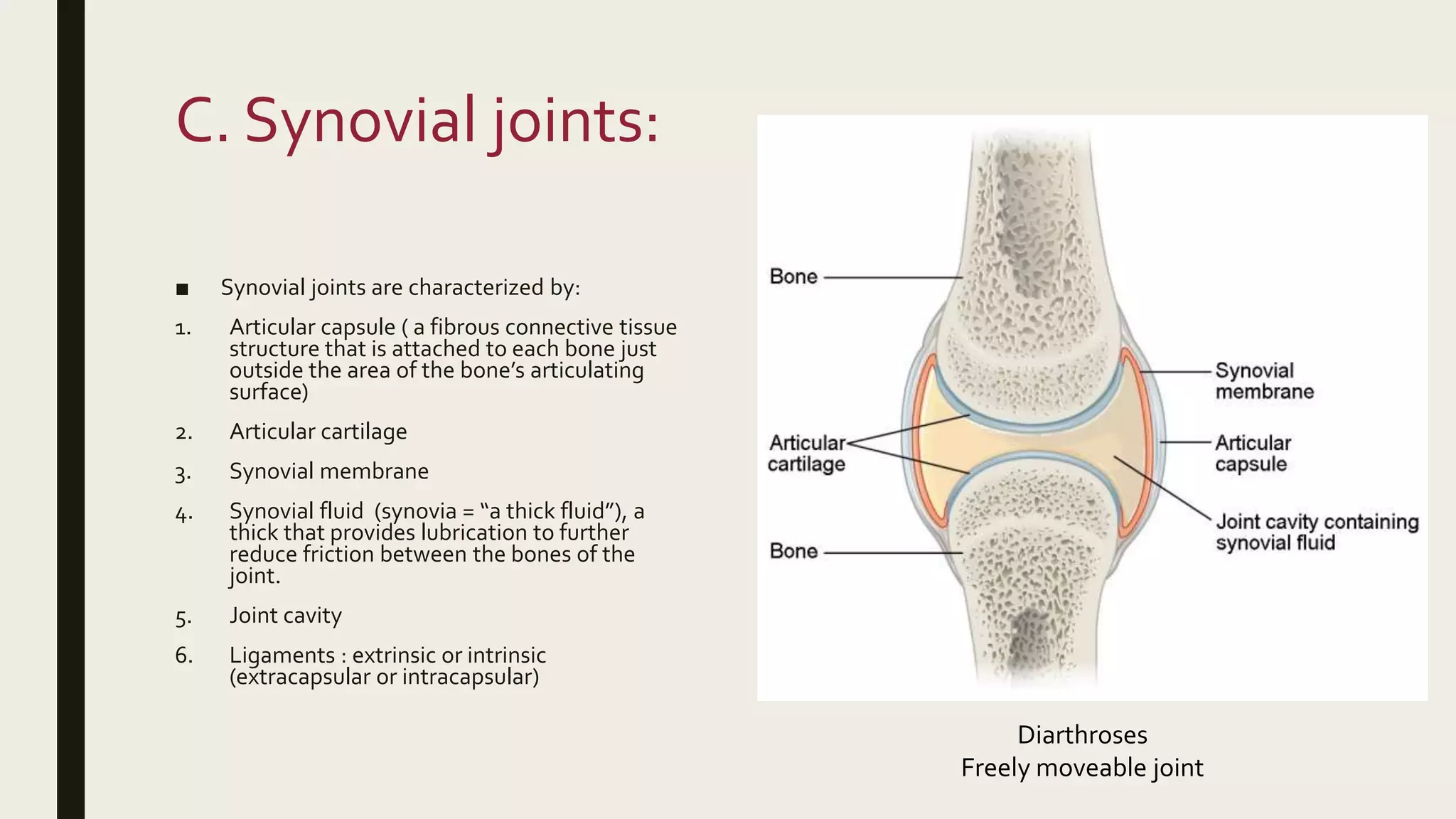 Kinesiology types of joints | PPTX