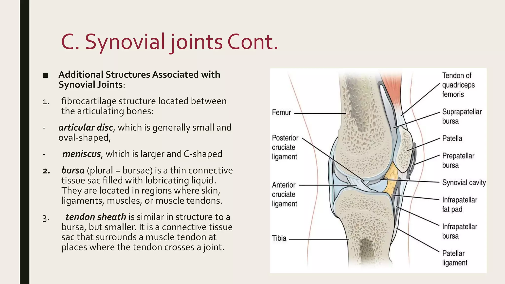 Kinesiology types of joints | PPTX