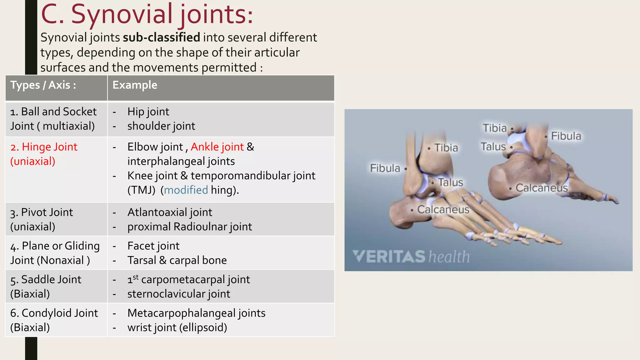 Kinesiology types of joints | PPTX
