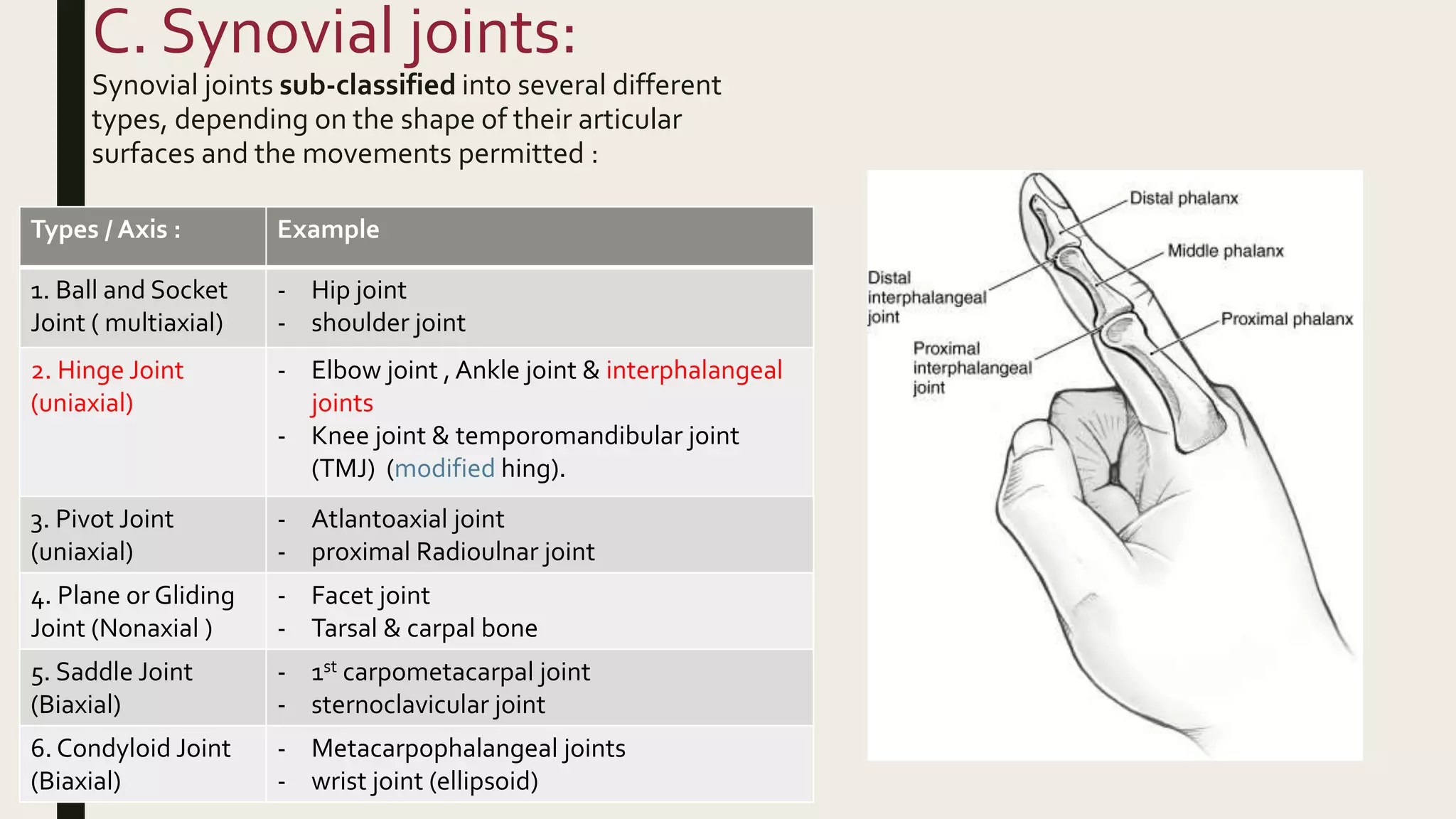 Kinesiology types of joints | PPTX