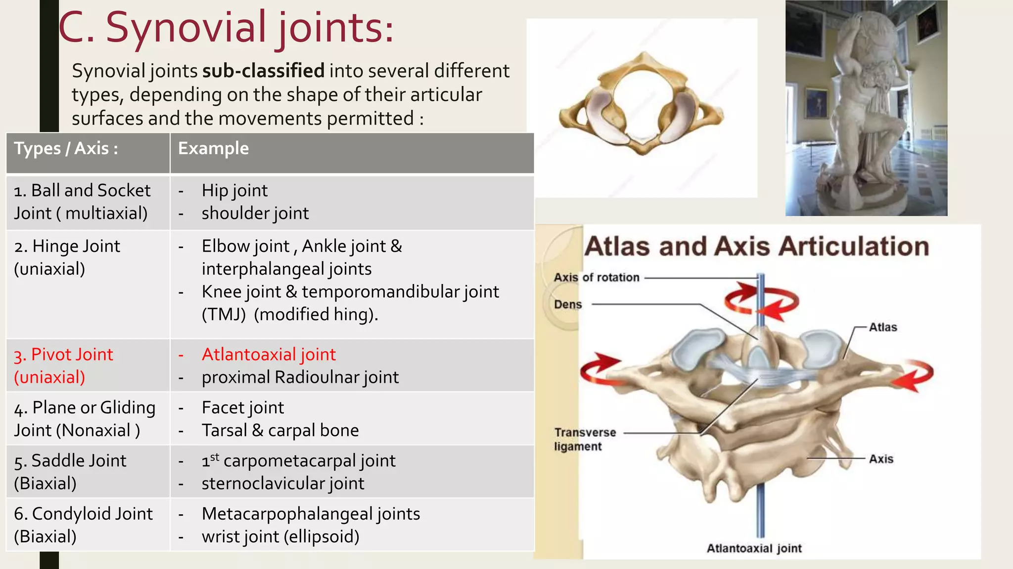 Kinesiology types of joints | PPTX