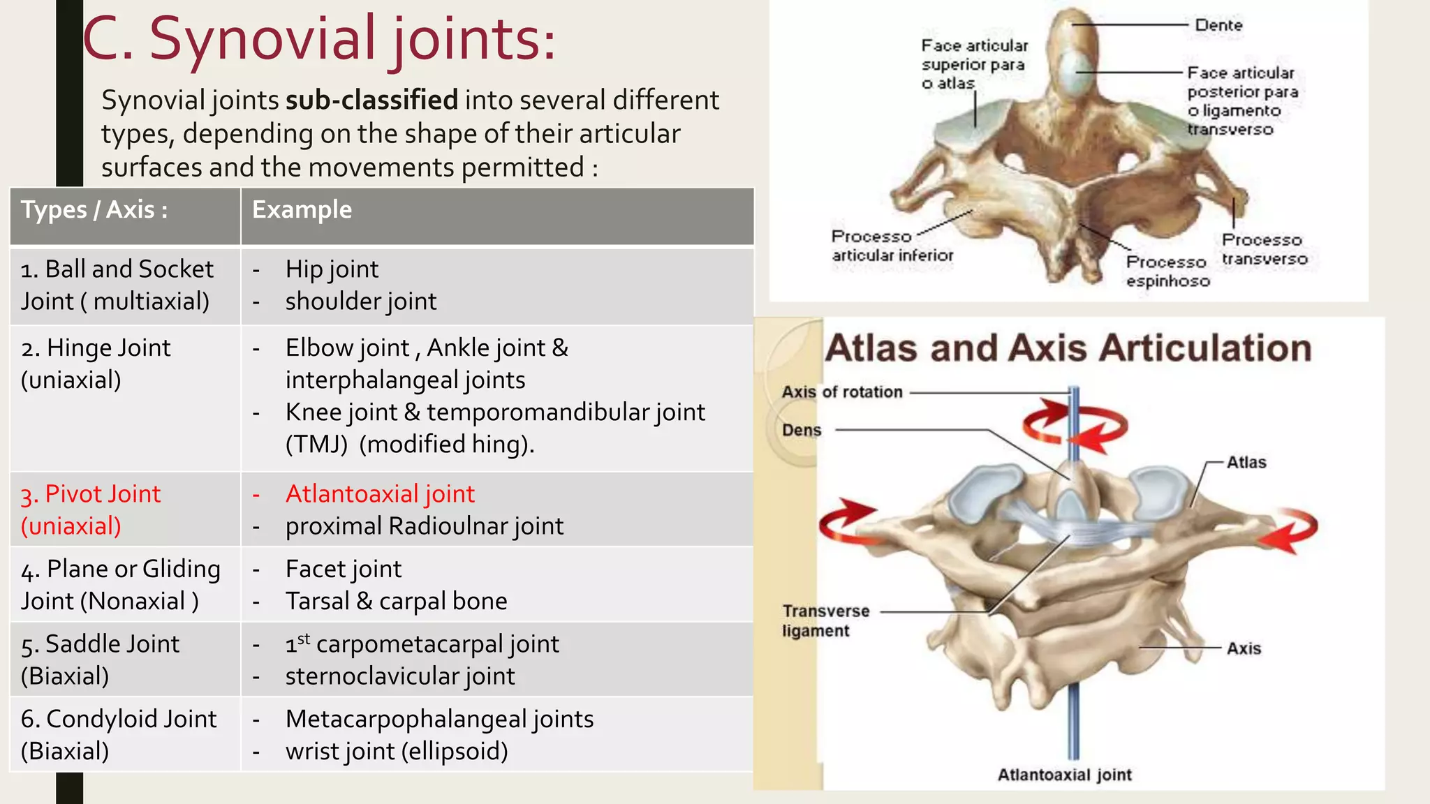 Kinesiology types of joints | PPTX
