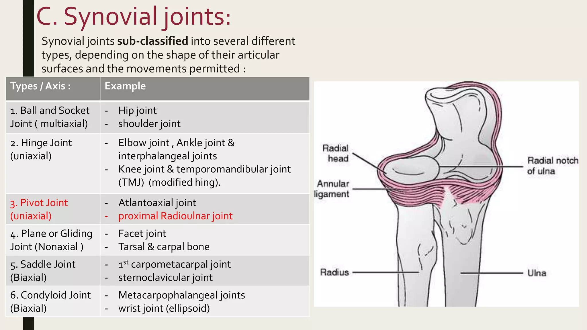 Kinesiology types of joints | PPTX