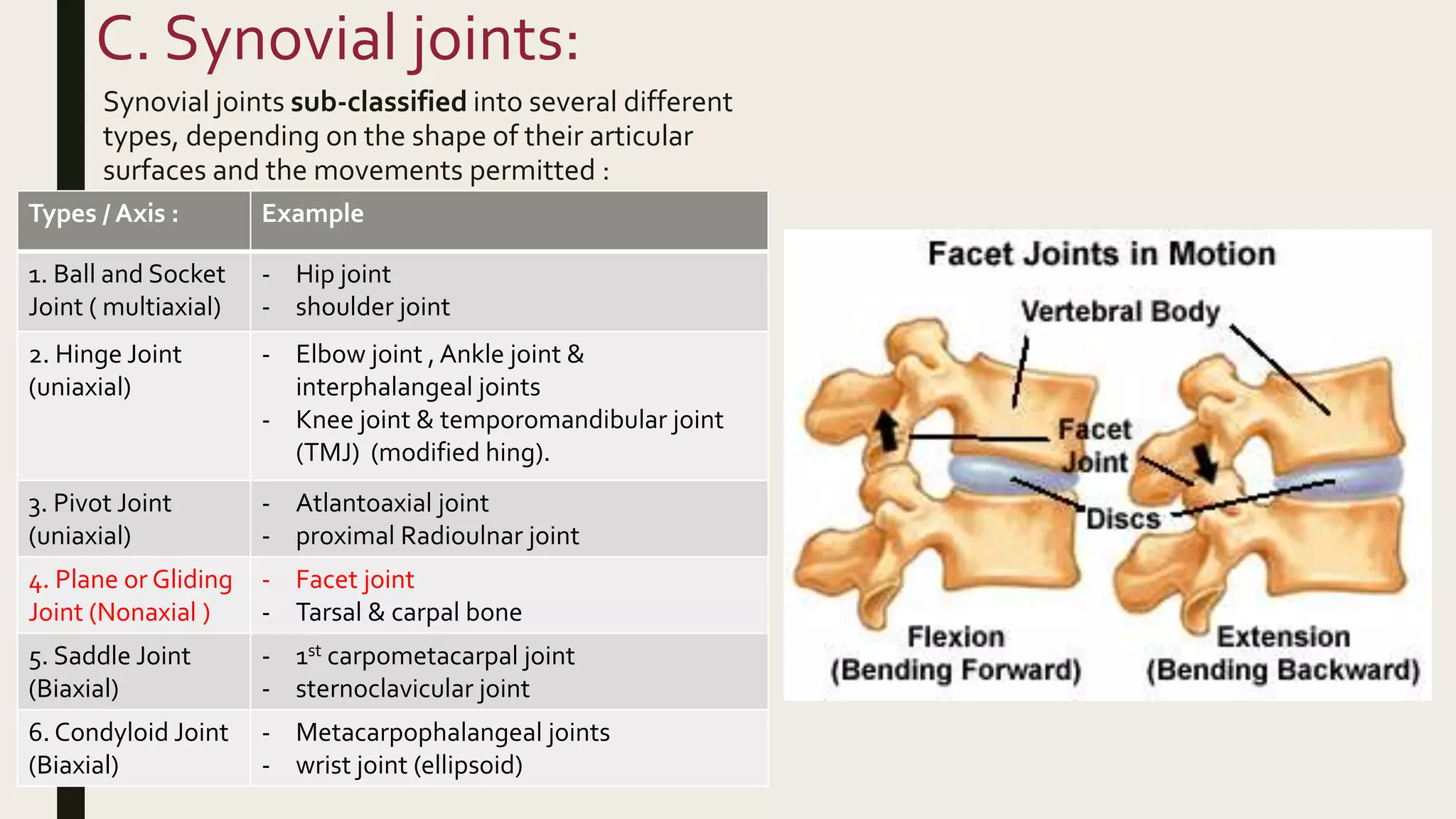 Kinesiology types of joints | PPTX