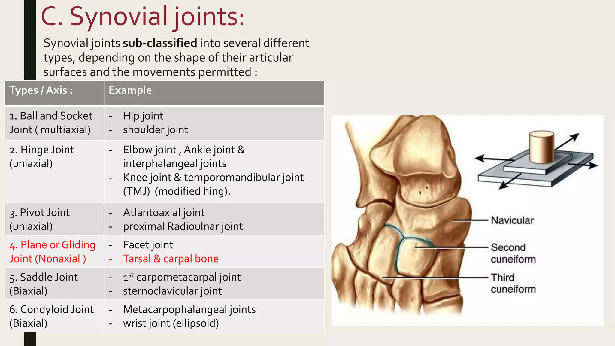 Kinesiology types of joints | PPTX