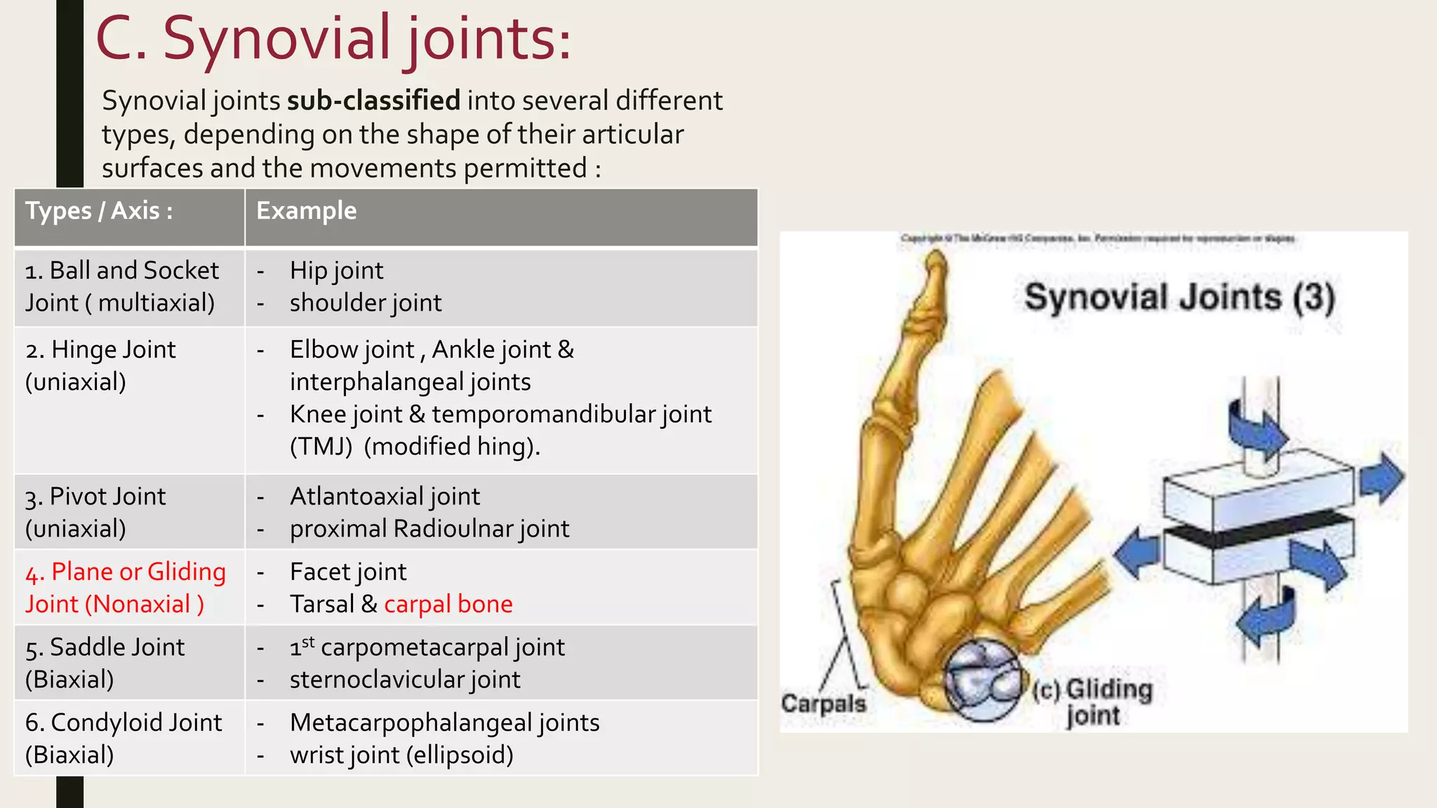 Kinesiology types of joints | PPTX