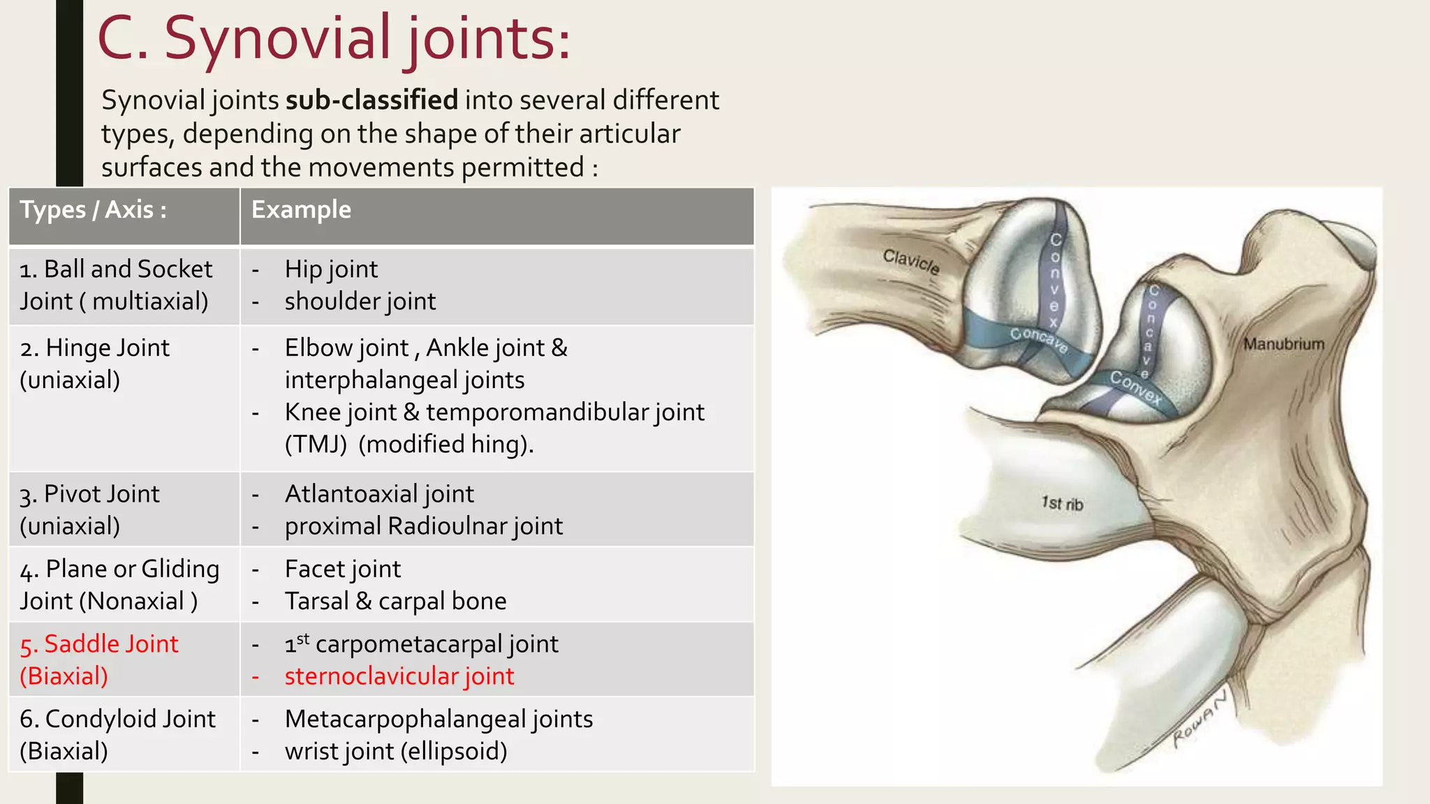Kinesiology types of joints | PPTX