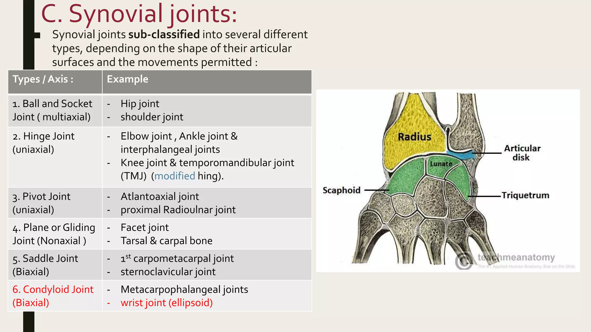 Kinesiology types of joints | PPTX