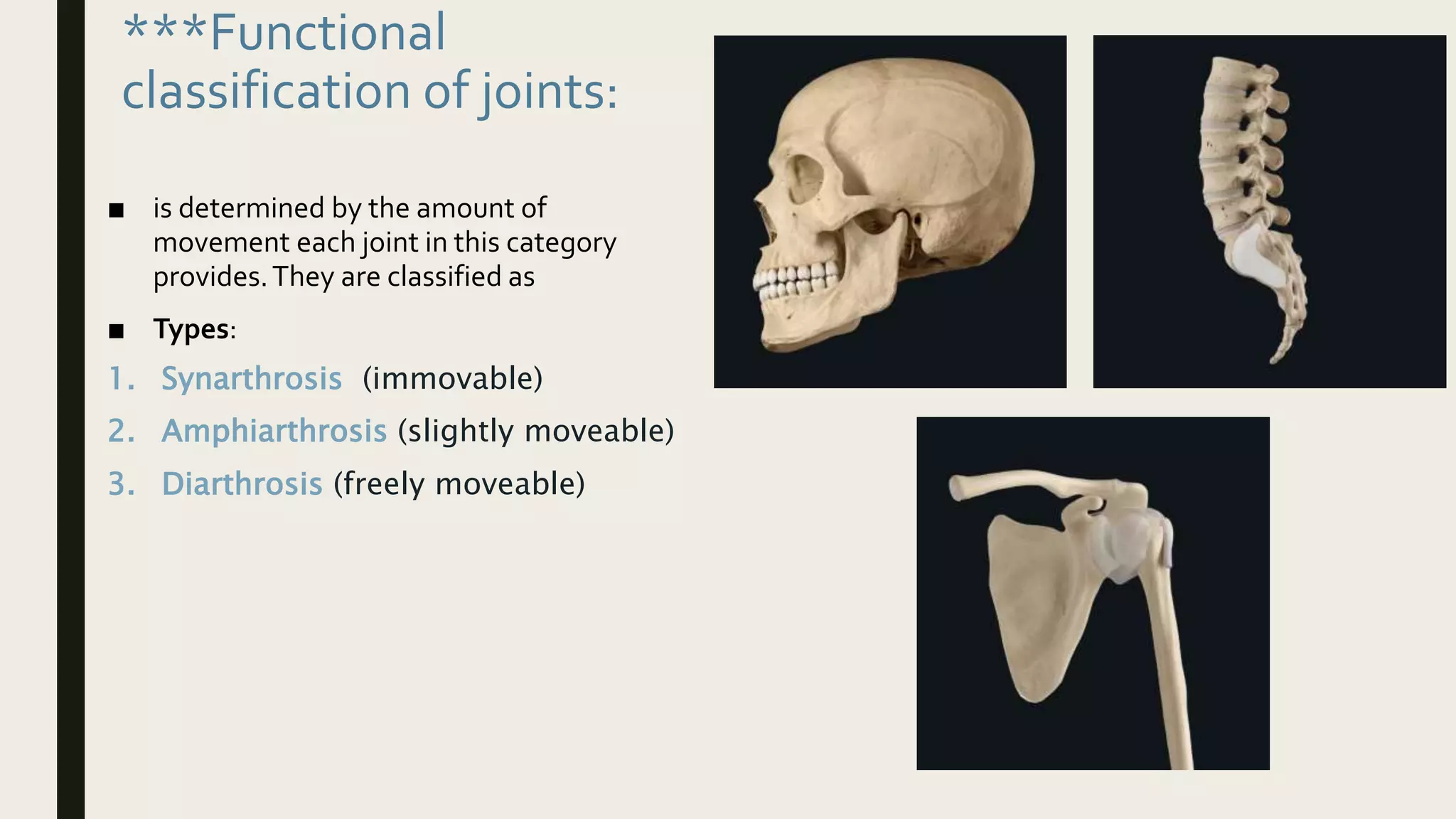 Kinesiology types of joints | PPTX