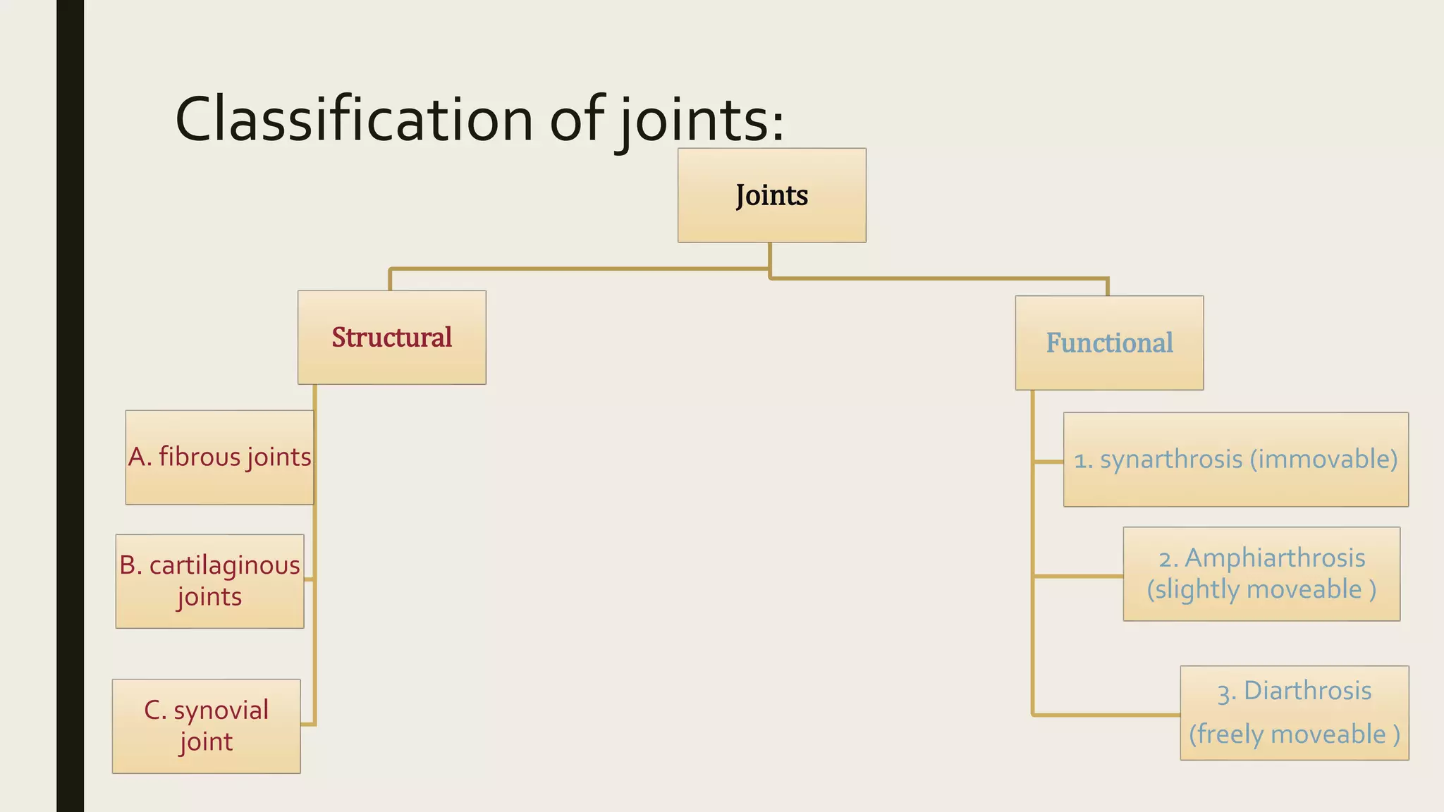 Kinesiology types of joints | PPTX