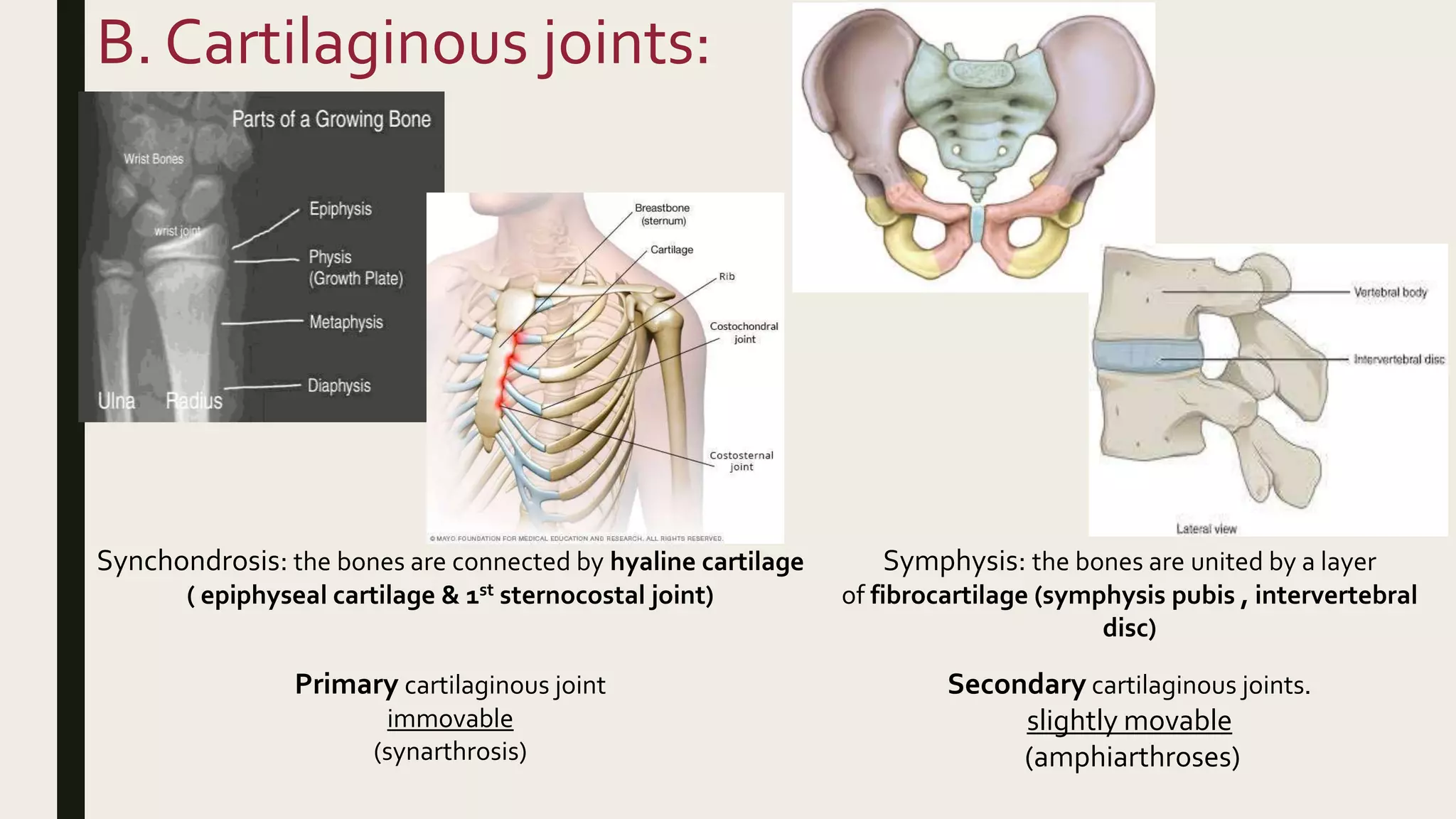 Kinesiology types of joints | PPTX