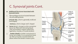 Kinesiology types of joints | PPTX