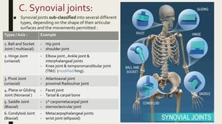 Kinesiology types of joints | PPTX