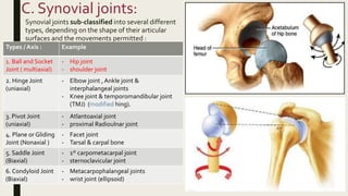 Kinesiology types of joints | PPTX