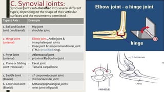 Kinesiology types of joints | PPTX
