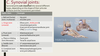 Kinesiology types of joints | PPTX