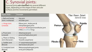 Kinesiology types of joints | PPTX