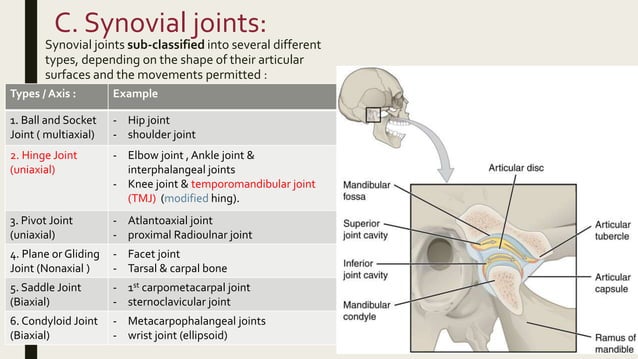 Kinesiology types of joints | PPTX