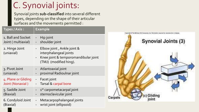 Kinesiology types of joints | PPTX