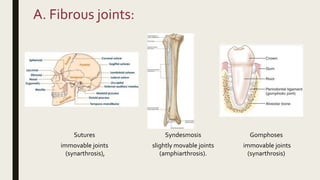 Kinesiology types of joints | PPTX